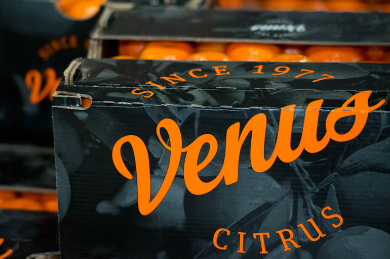 Riverland's Venus Citrus a third-generation success story