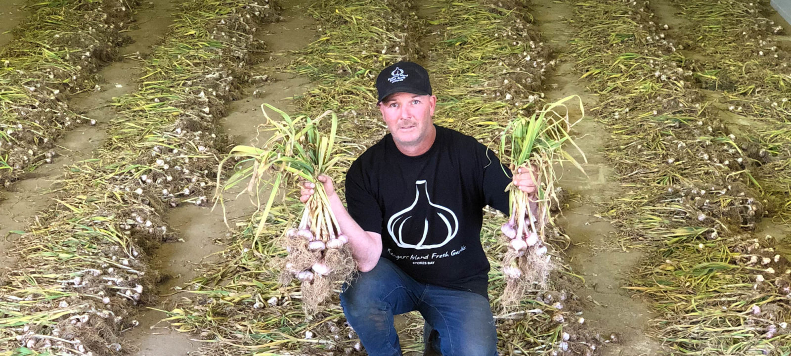 Garlic glory on Kangaroo Island